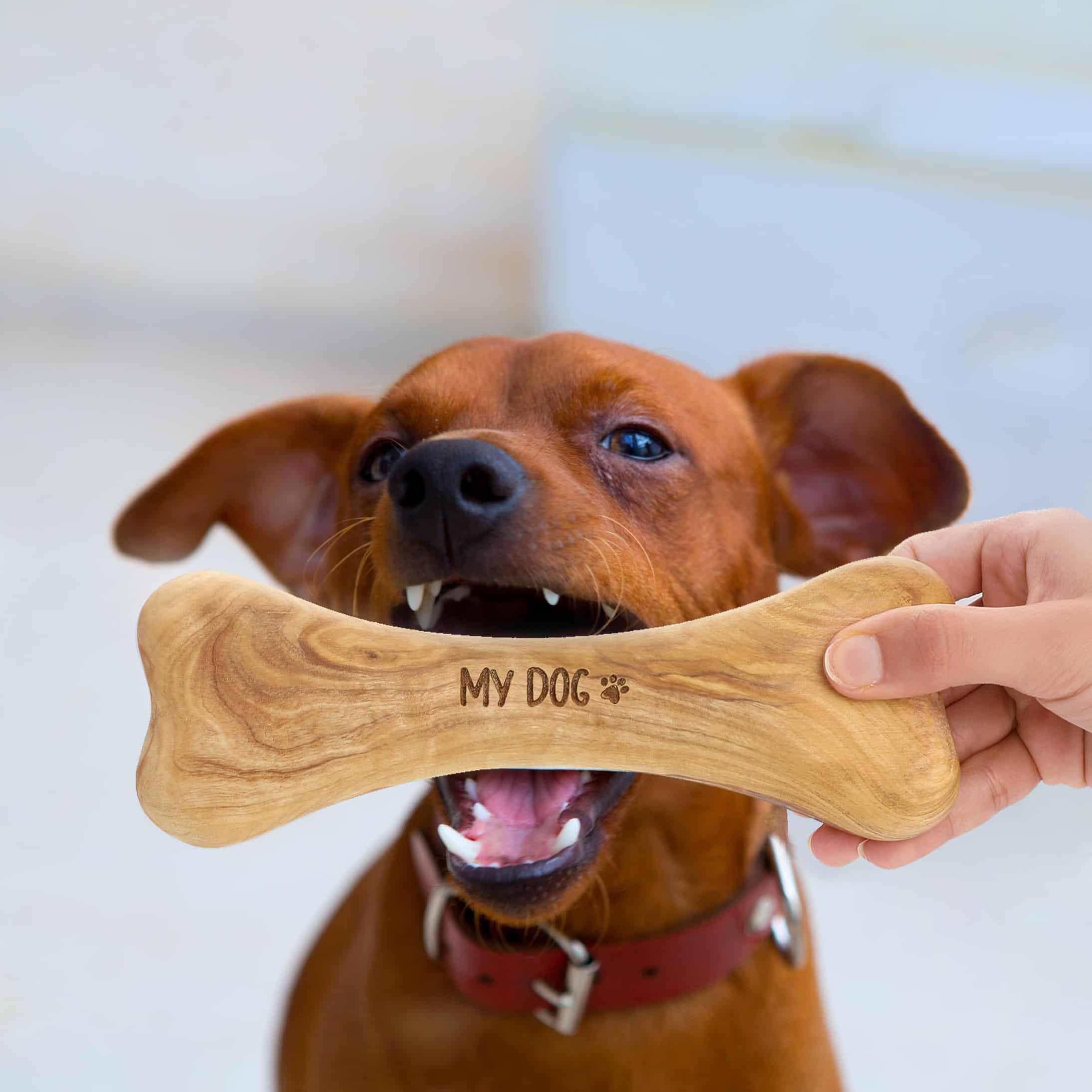Antibacterial Dog Bone Wood Handmade - Artisraw
