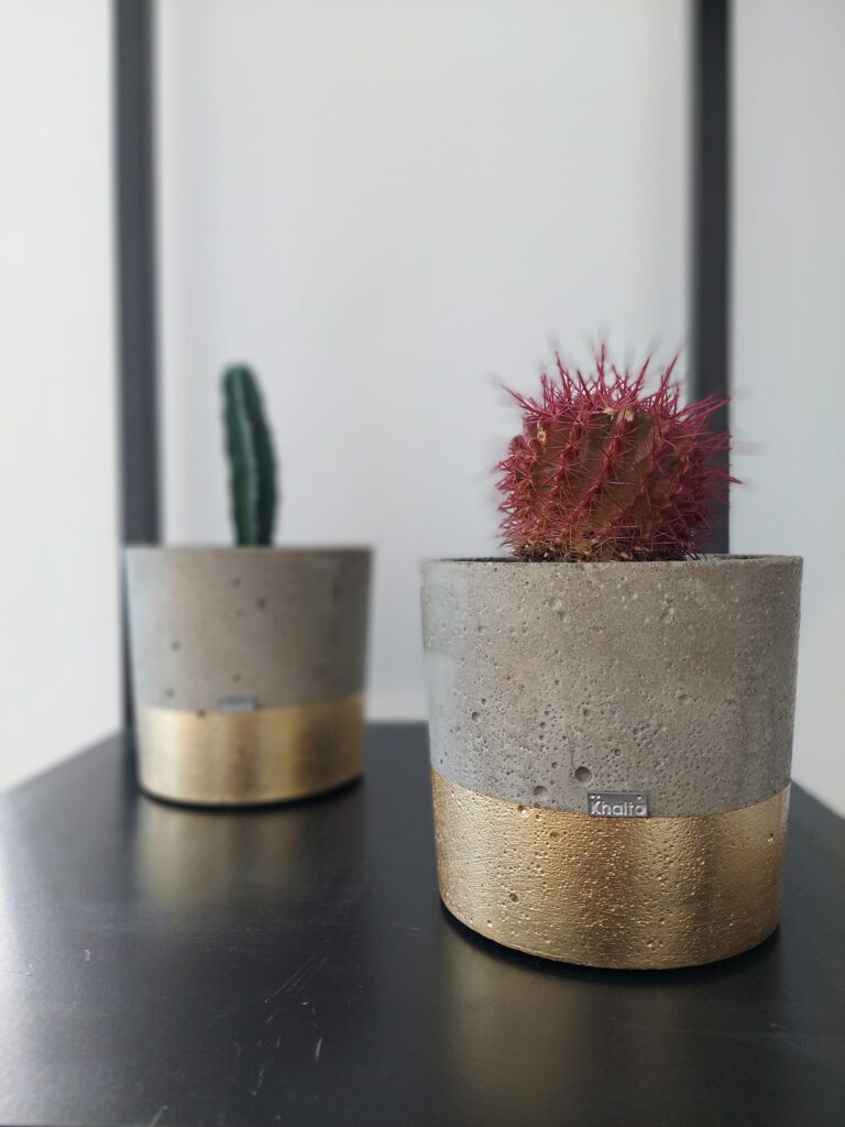 Concrete Plant Basket - Artisraw